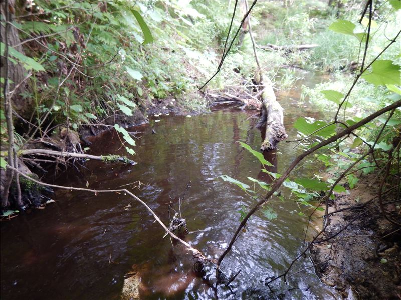 Road Stream Crossing Site LM40