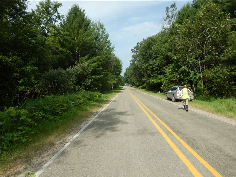 Road Stream Crossing Site LM40