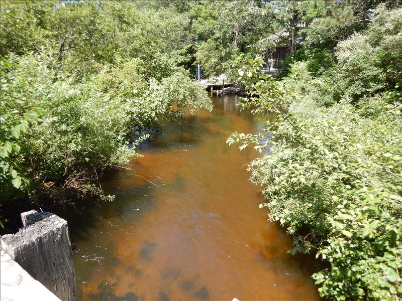 Road Stream Crossing Site LM61