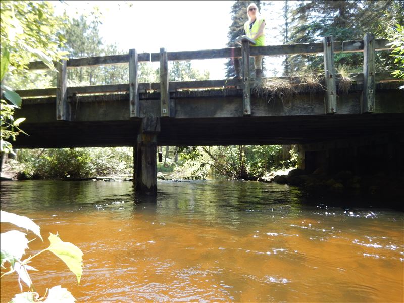 Road Stream Crossing Site LM61