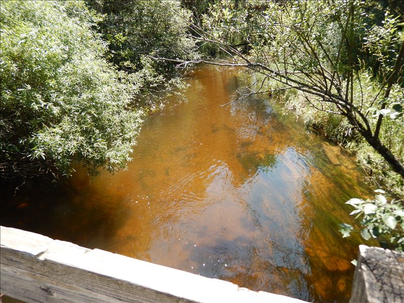 Road Stream Crossing Site LM61