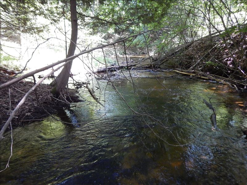 Road Stream Crossing Site LM63