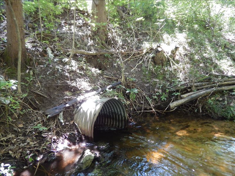 Road Stream Crossing Site LM63