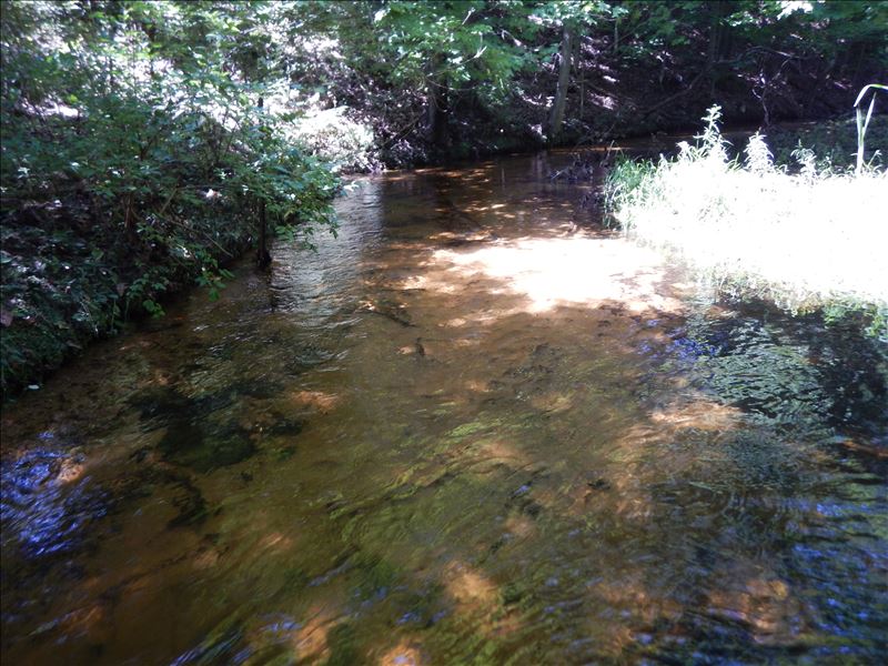 Road Stream Crossing Site LM63