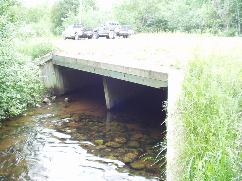 Road Stream Crossing Site S040