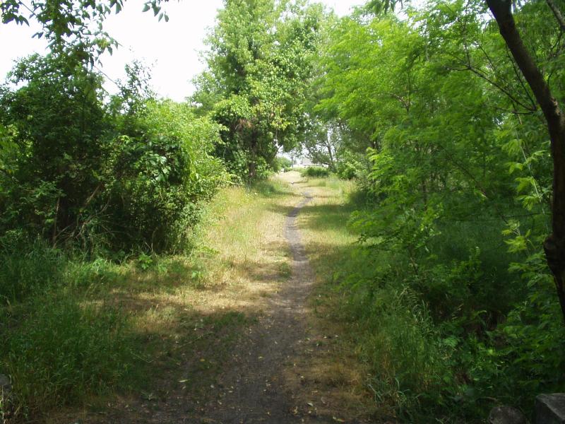 Road Stream Crossing Site S702